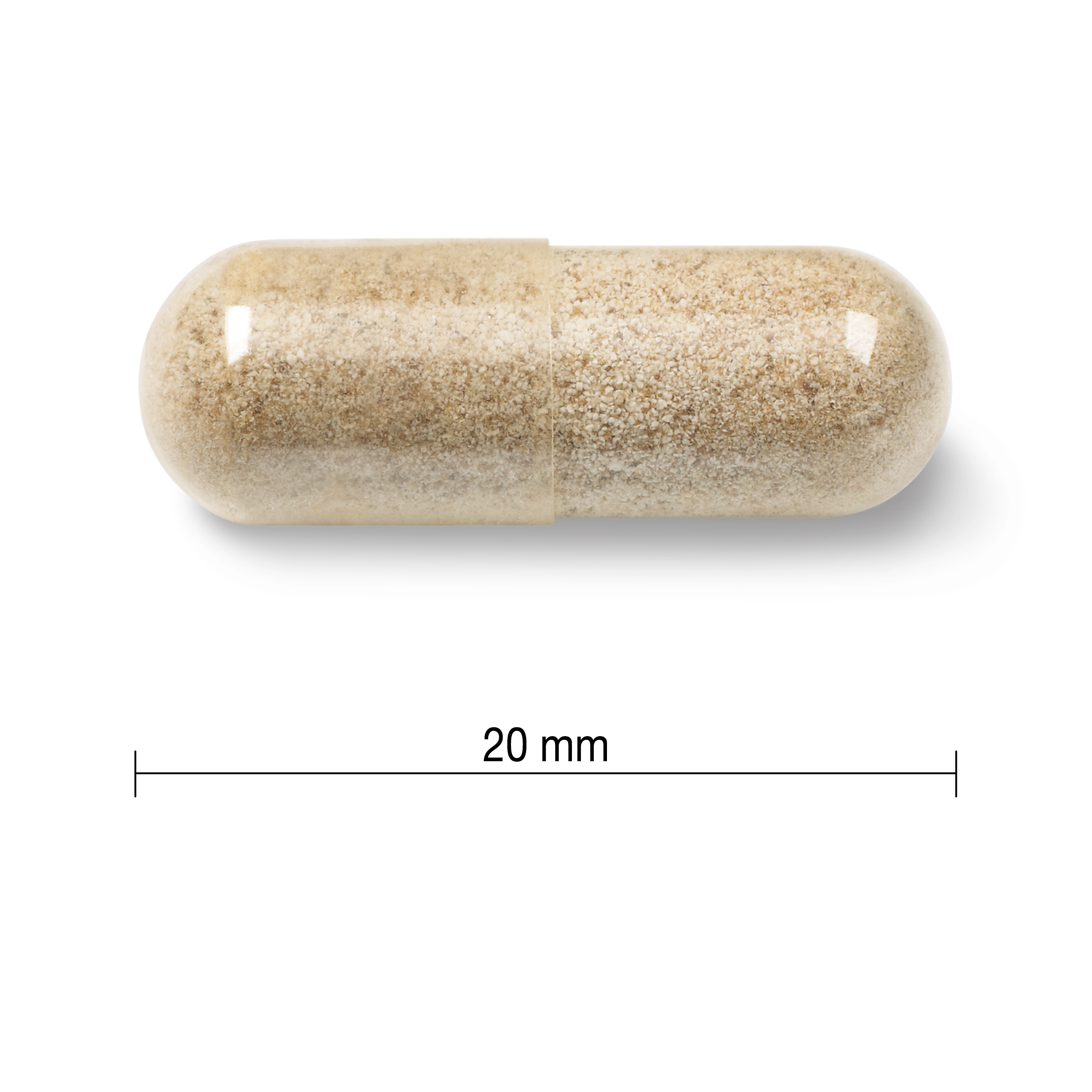 Jamieson Relax & Sleep Kräuterkomplex 60 Kps. | Jamieson